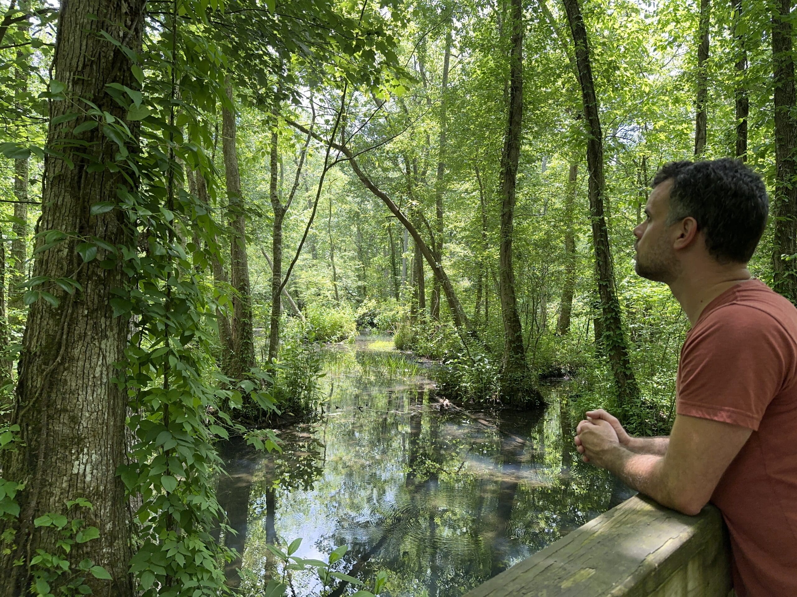Swamp and Sculptures, Hidden in the Suburbs | The Alabama Ramble