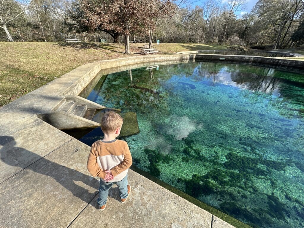 Blue Springs State Park: 68°, Year Round | The Alabama Ramble