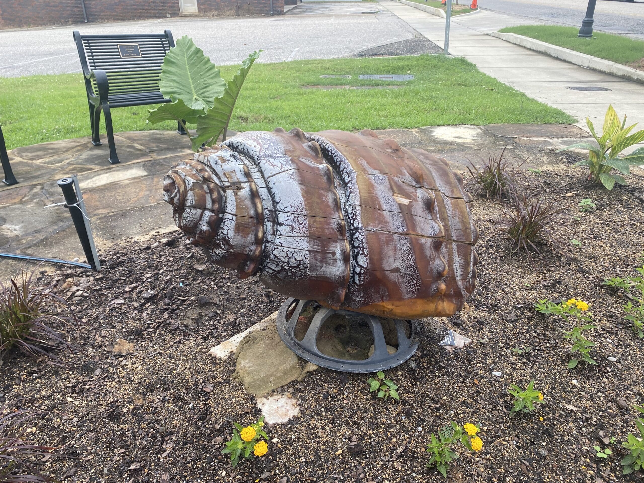 The Snail that Saved the Town | The Alabama Ramble
