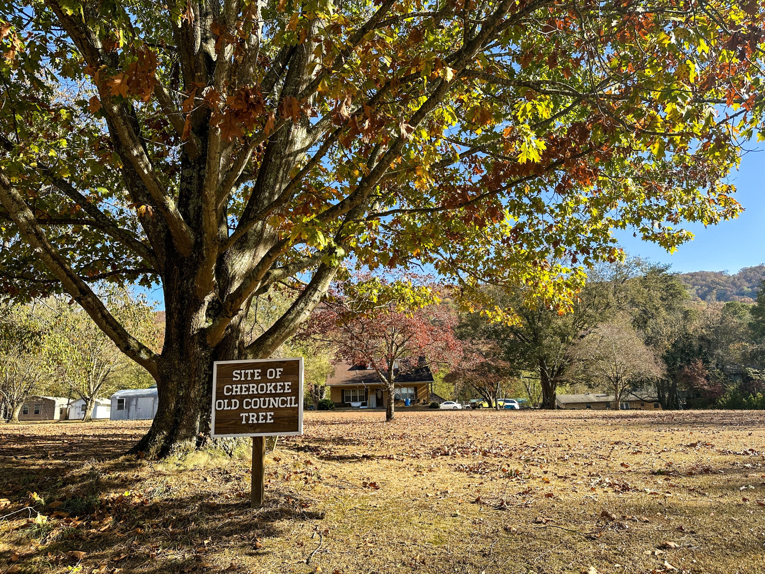 Site of Cherokee Council Tree (early 1800s) | The Alabama Ramble