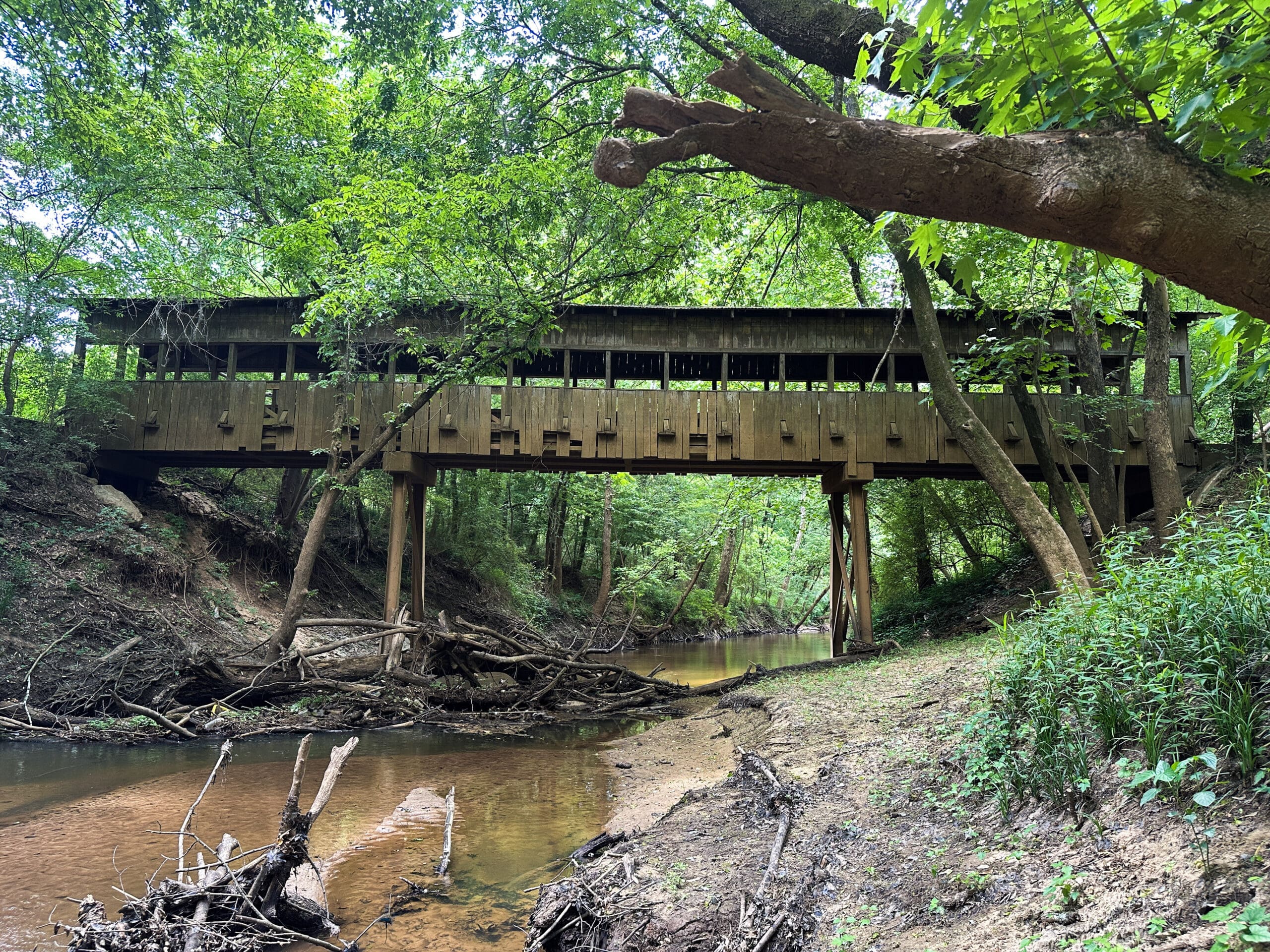 Selma's Covered Bridge, Hidden Behind a Park | The Alabama Ramble